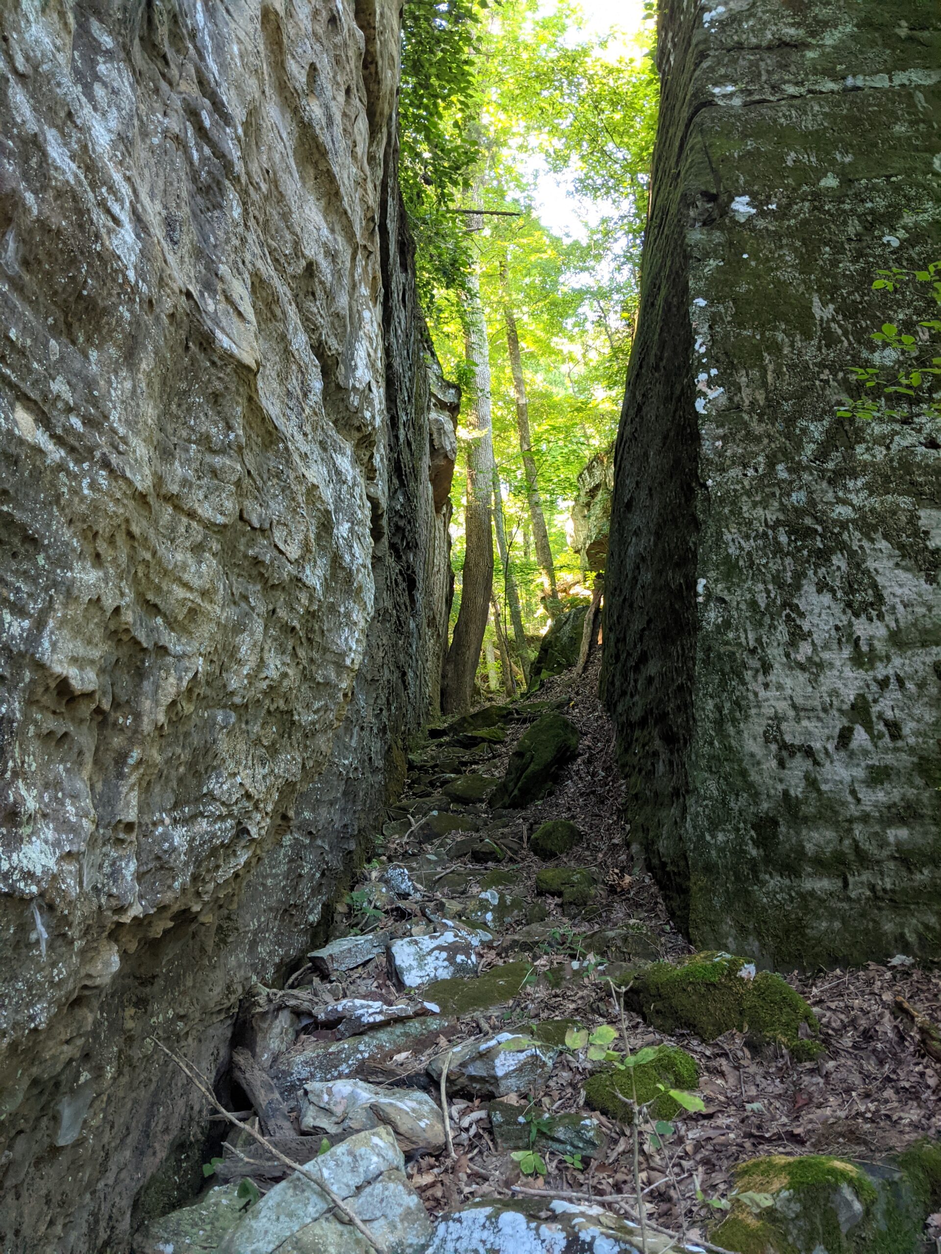 Panther Hollow RNA (New) 8-22 – River to River Trail Hike